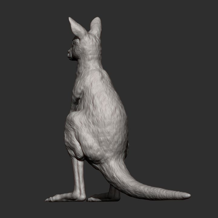 3D Printable Baby kangaroo by AKUZMENKO
